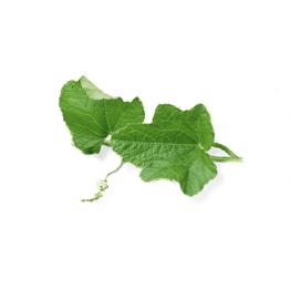 Neudorff - natürlich gärtnern: Die Neudorff App