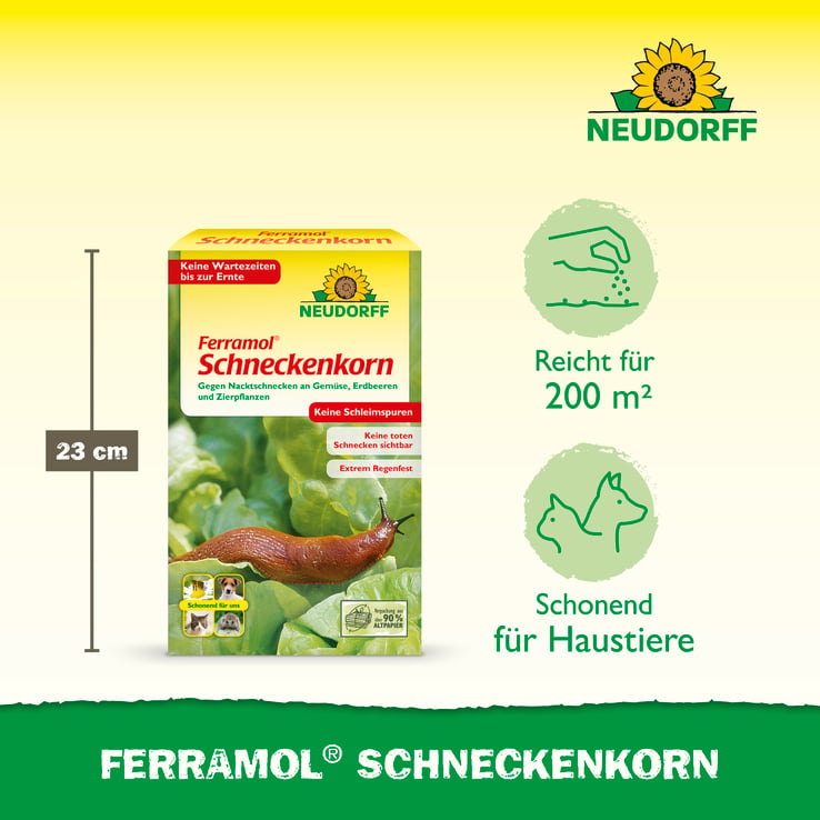 Zuverlässig Schnecken bekämpfen