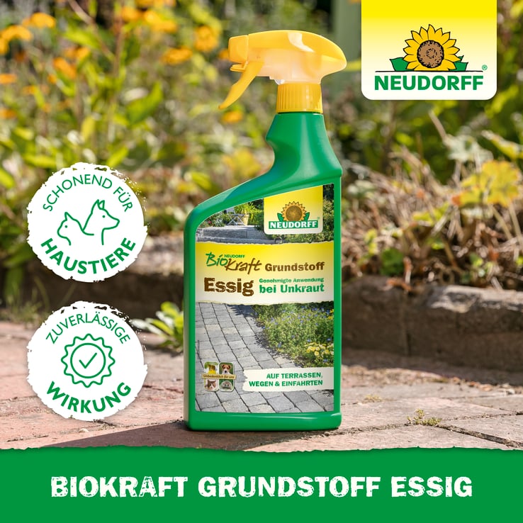 Neudorff BioKraft Grundstoff Essig