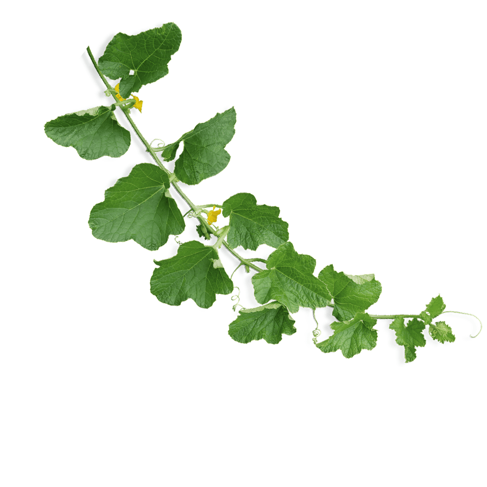 Neudorff - natürlich gärtnern: Die Neudorff App